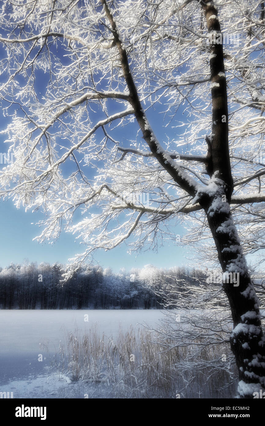 Nature in winter time hi-res stock photography and images - Alamy