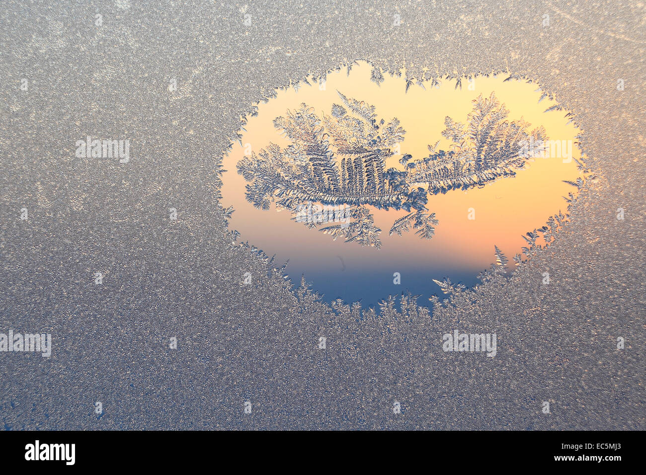 Frostwork in the Window Stock Photo - Alamy