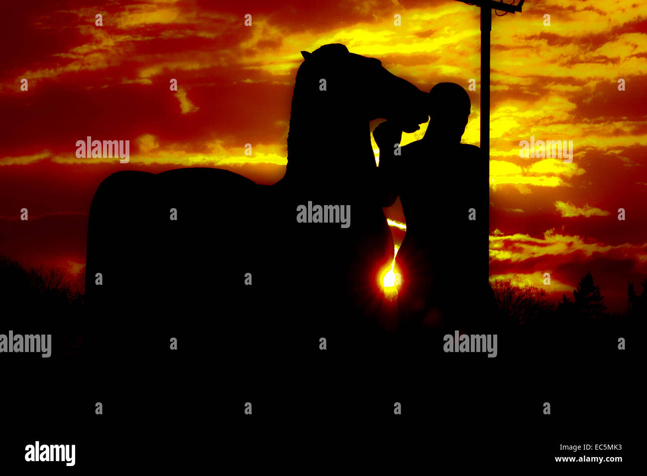 Man with horse Stock Photo - Alamy