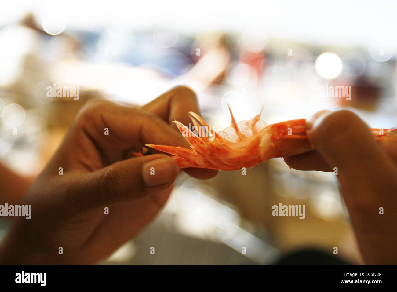 hands holding shrimp Stock Photo - Alamy