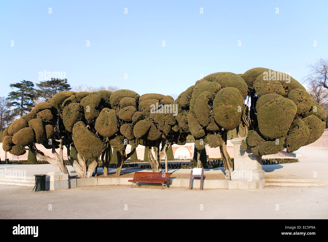 Flora vegatation hi-res stock photography and images - Alamy