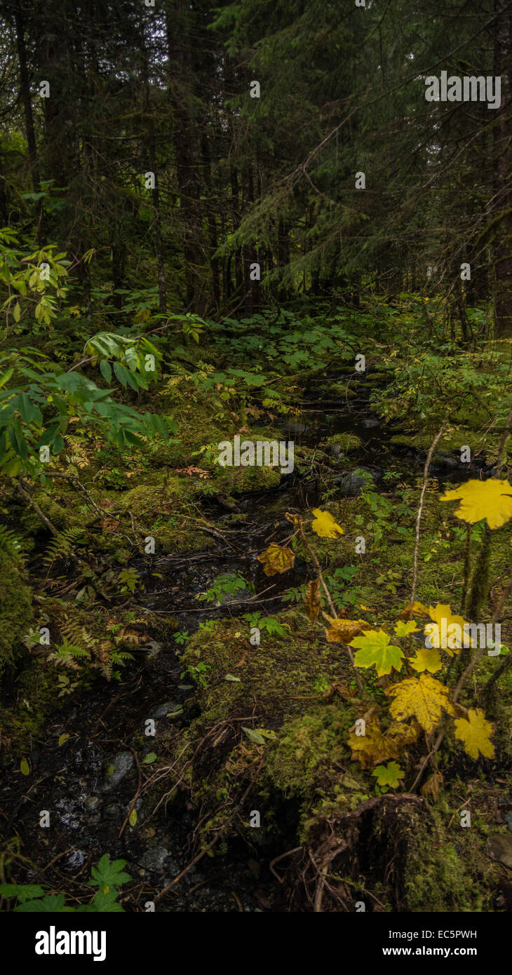 The Beautiful State of Alaska USA Stock Photo - Alamy