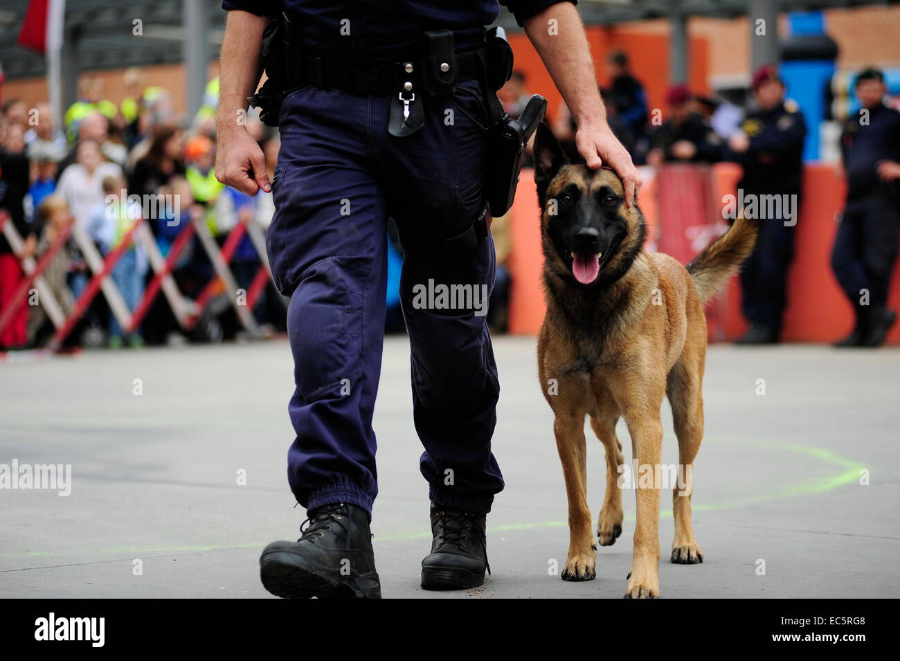 Service dogs hi-res stock photography and images - Alamy
