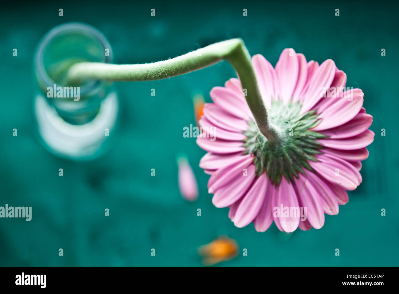 Bended hi-res stock photography and images - Alamy