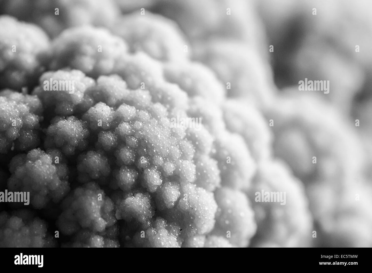 Abstract flower buds Black and White Stock Photos & Images - Alamy