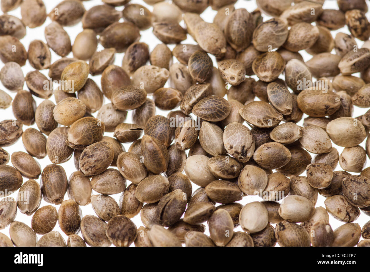 Hemp form hi-res stock photography and images - Alamy