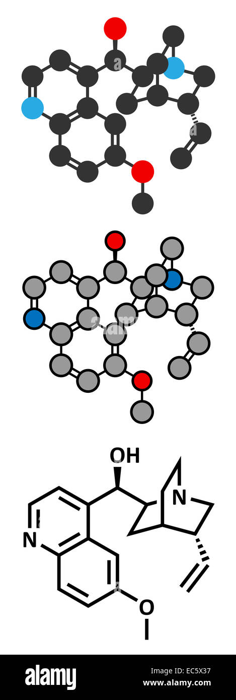 Quinine tree hi-res stock photography and images - Alamy