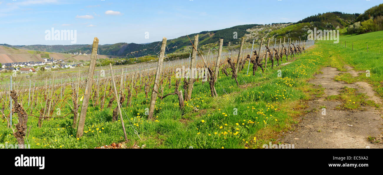 Kinheim hi-res stock photography and images - Alamy