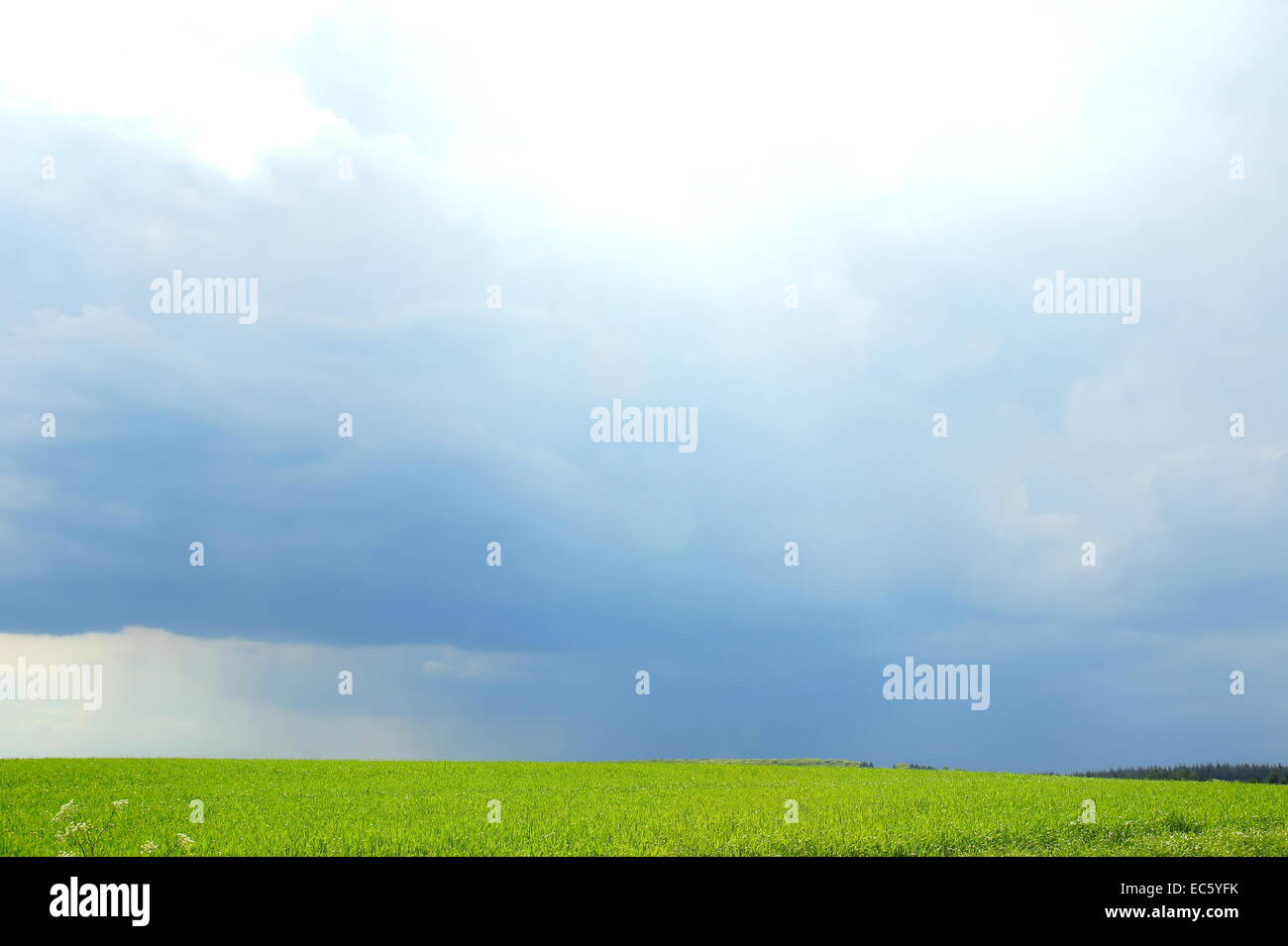 Rain clouds over green landscape Stock Photo - Alamy