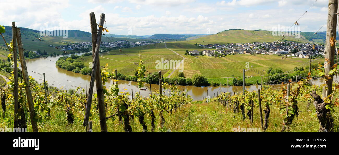 Leiwen hi-res stock photography and images - Alamy