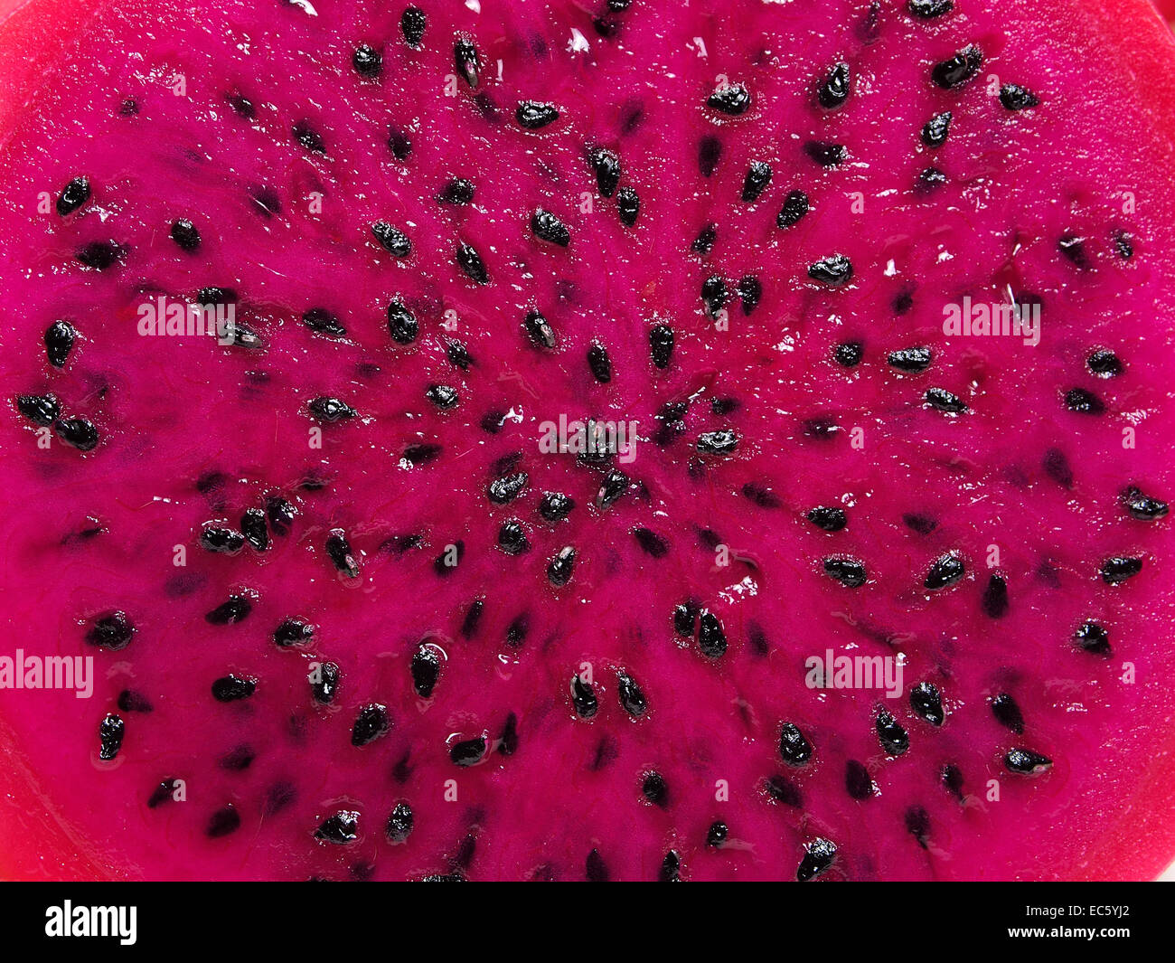 cross section of a pitaya Stock Photo - Alamy cross section of a pitaya Stock Photo - Alamy