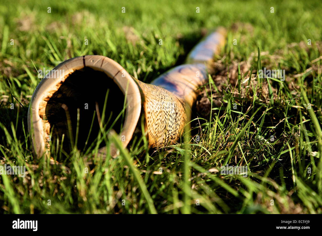 Didgeridoo art hi-res stock photography and images - Alamy