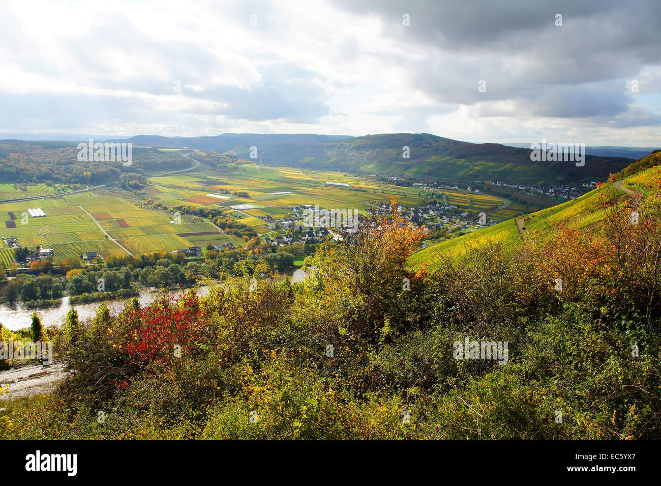Erden on the Moselle in autumn Stock Photo - Alamy