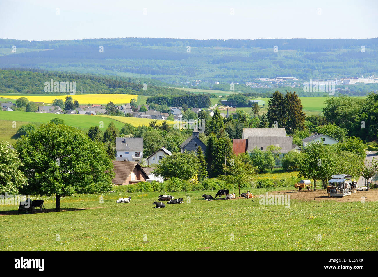 Hunsrück with Heinzerath, Elzerath and Morbach in the distance Stock ...