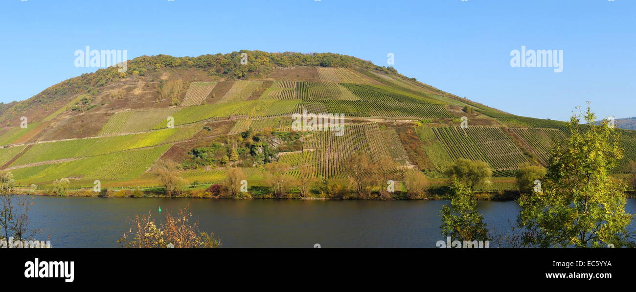 Moselle valley near Briedel panorama Stock Photo - Alamy
