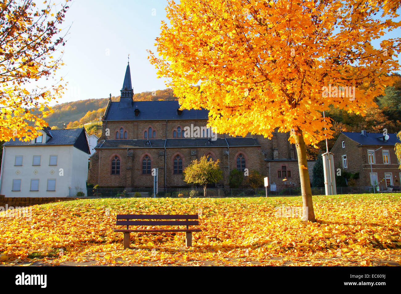 Remigius hi-res stock photography and images - Alamy