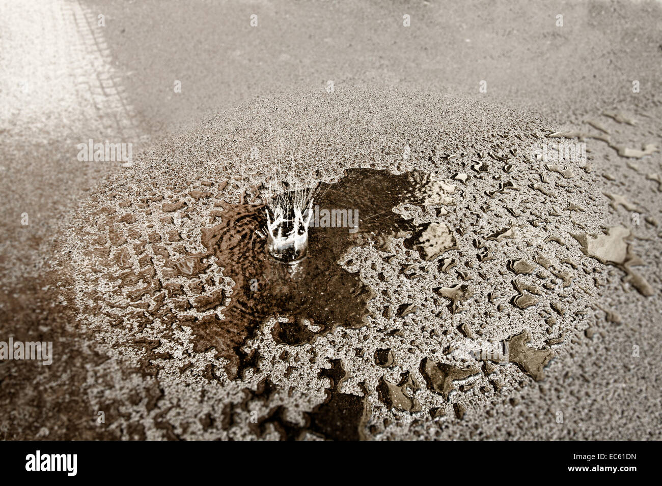 Crown patterns hi-res stock photography and images - Alamy