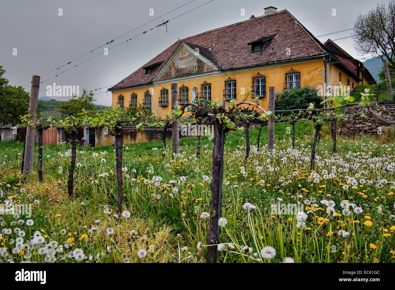Europe european storefront storefronts hi-res stock photography and ...