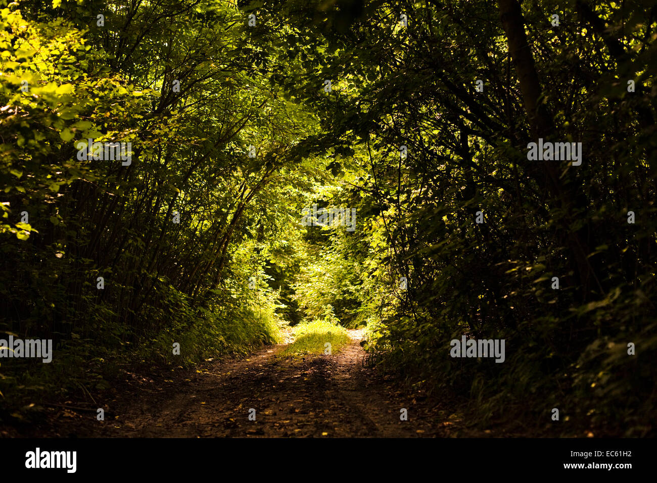 Clearing tracks hi-res stock photography and images - Alamy