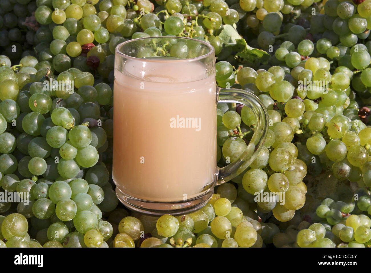 Alkoholha hi-res stock photography and images - Alamy