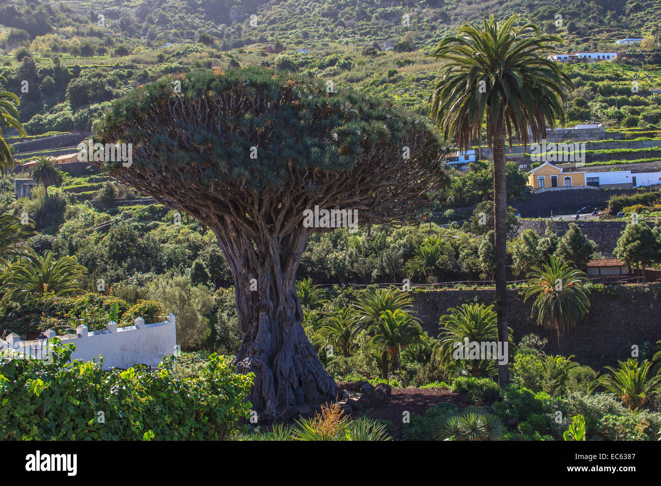 Los 1000 hi-res stock photography and images - Alamy