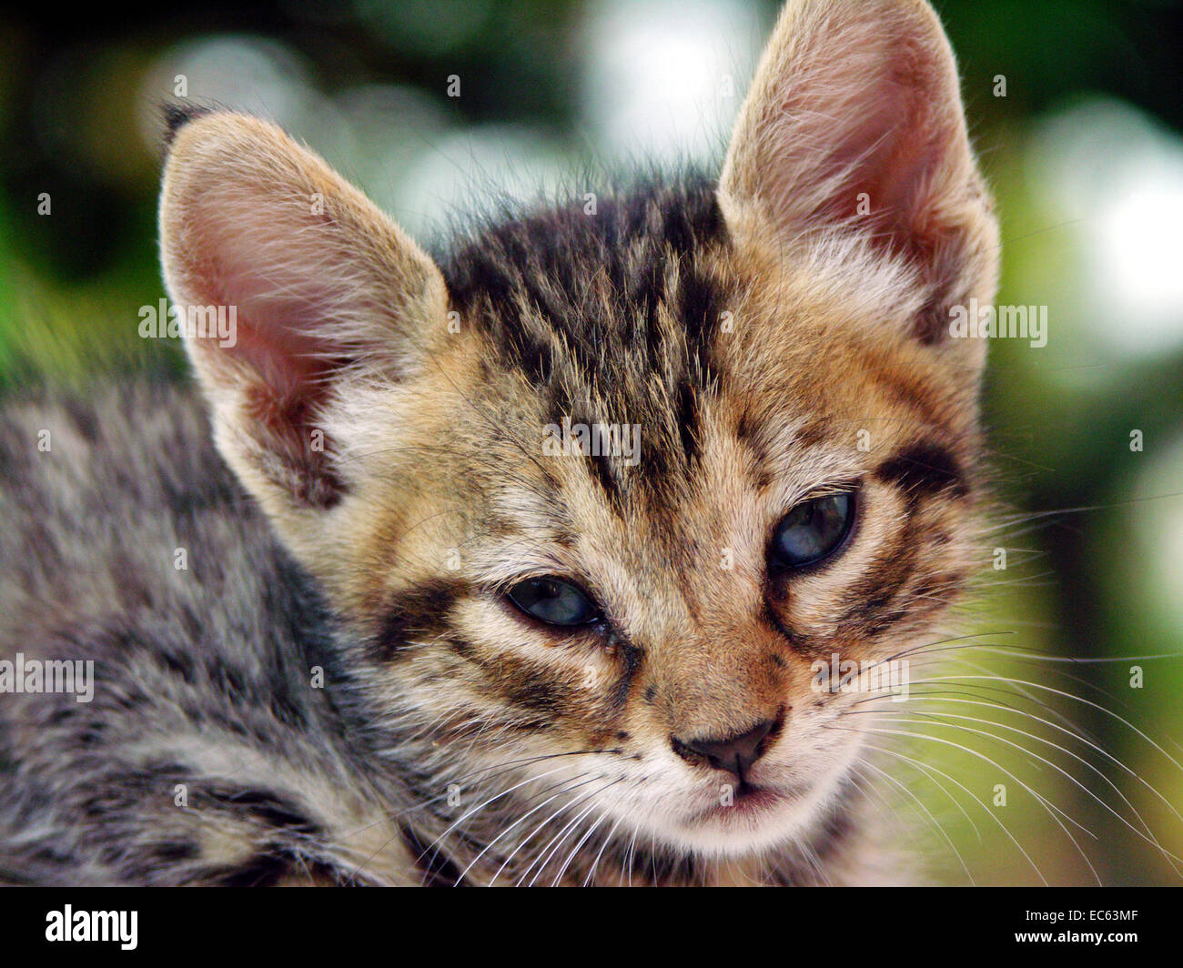 Citty hi-res stock photography and images - Alamy