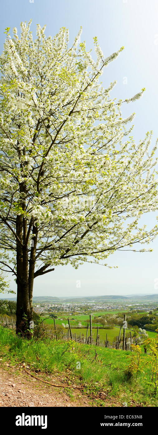 Half circular part hi-res stock photography and images - Alamy