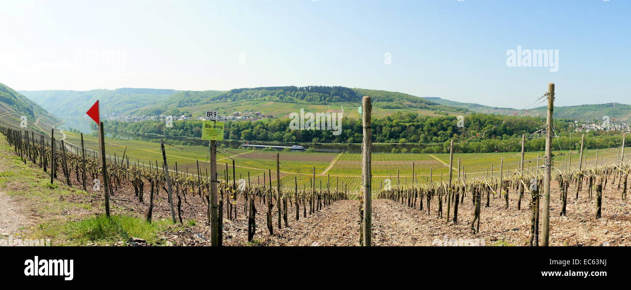 Briedel and Pünderich on the Moselle Stock Photo - Alamy