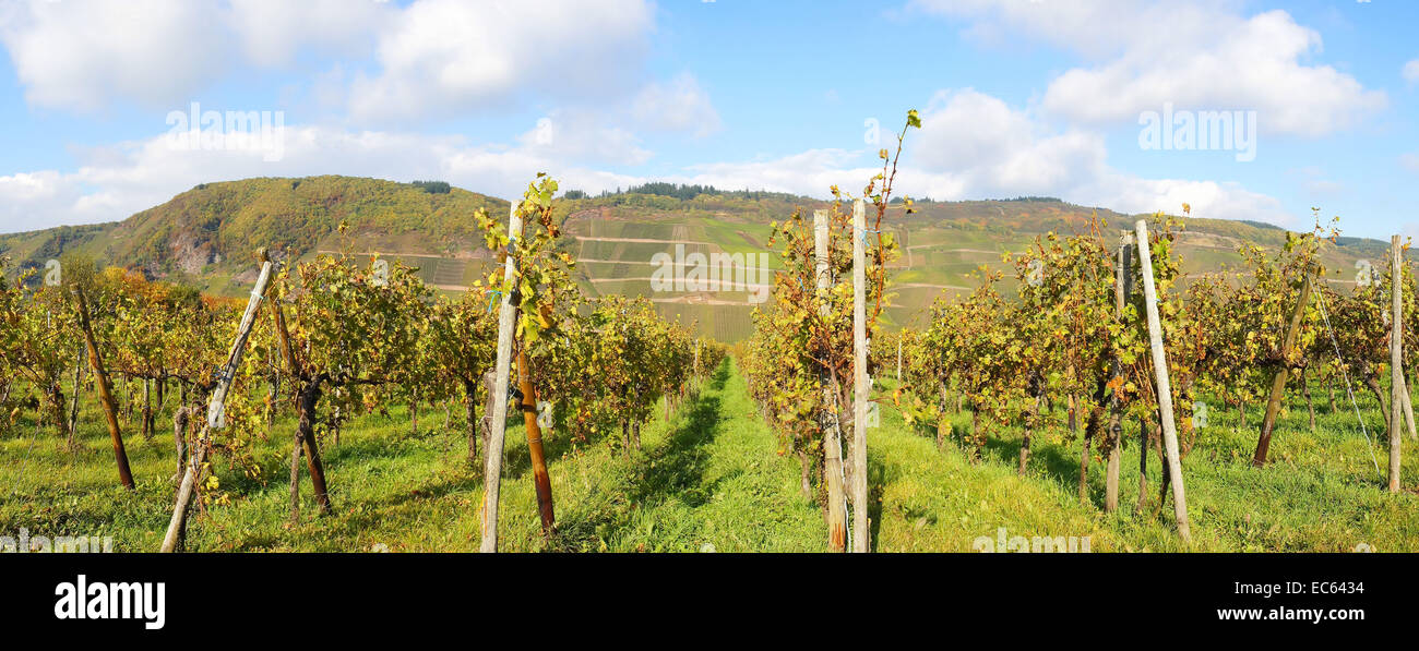 Erden germany hi-res stock photography and images - Alamy