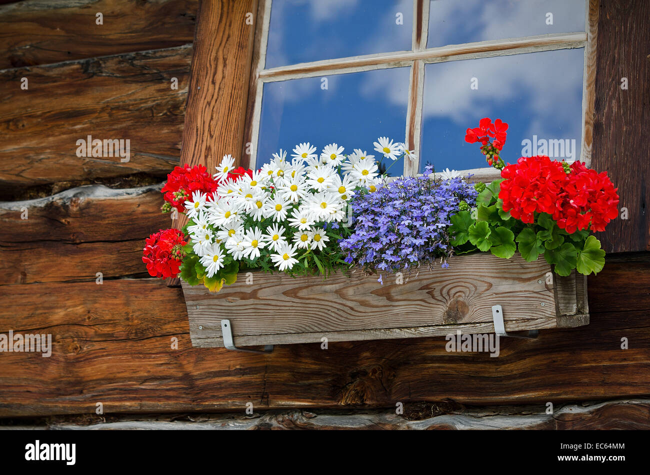 Flower box in front of an old window in the Alps Stock Photo - Alamy