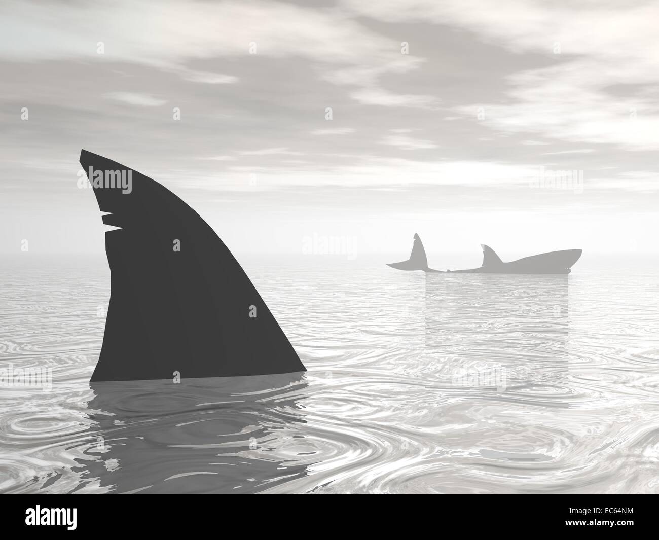 Fish with large dorsal fin hi-res stock photography and images - Alamy