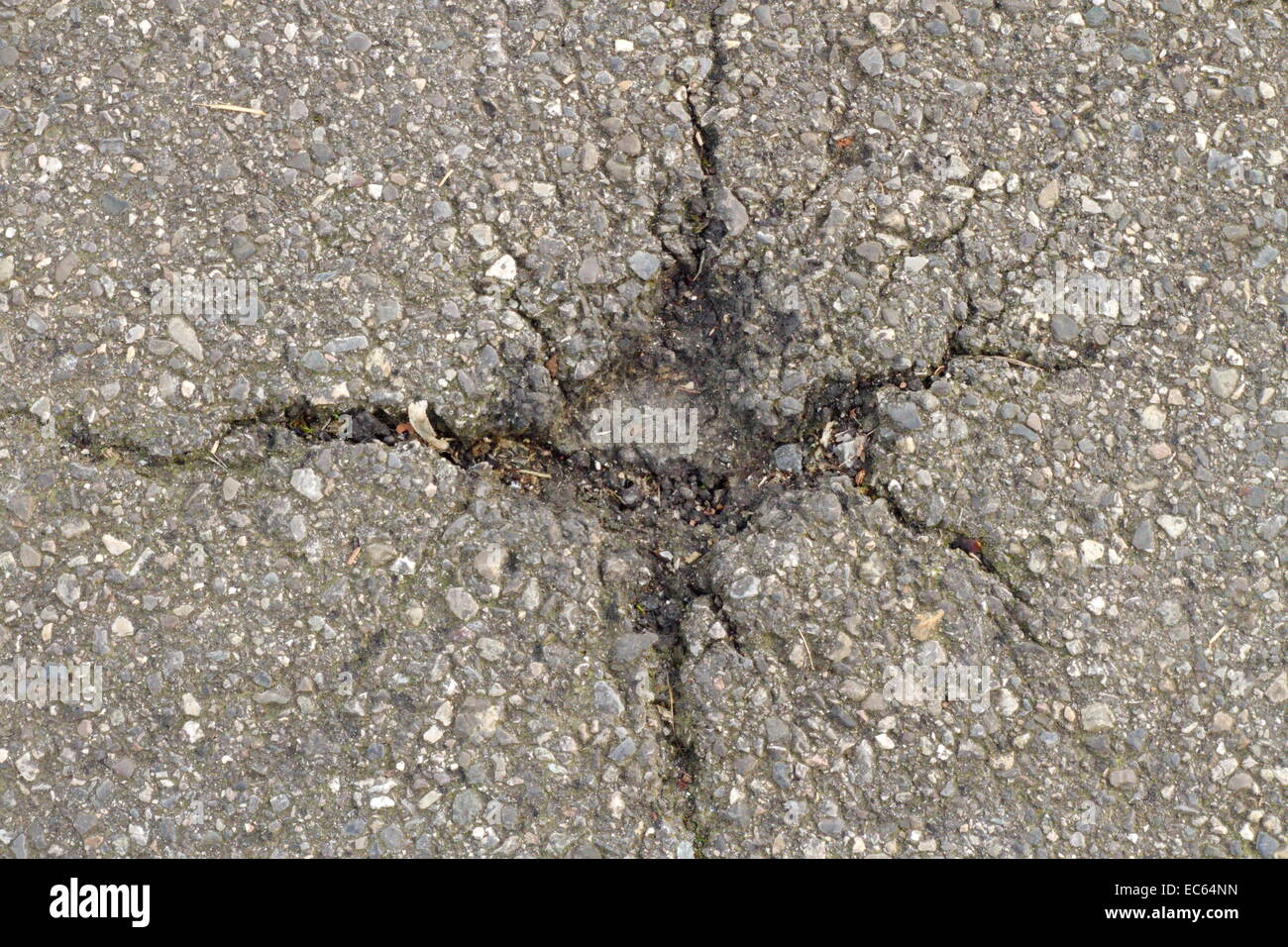 Small tar hole like a star in pavement asphalt Stock Photo - Alamy