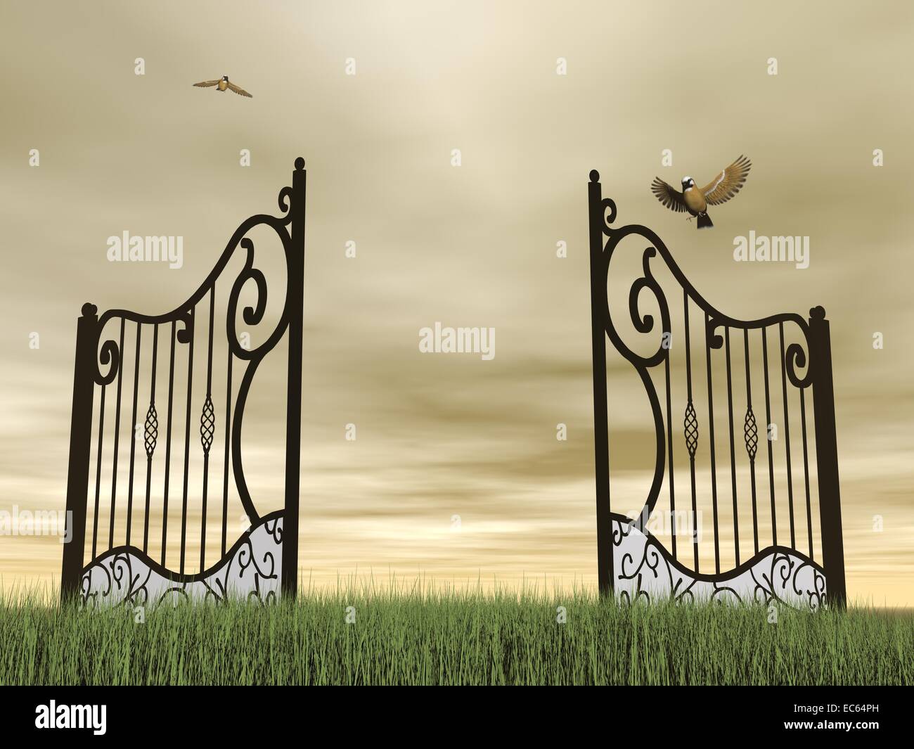 One vintage black open gate in nature with two birds flying around by ...