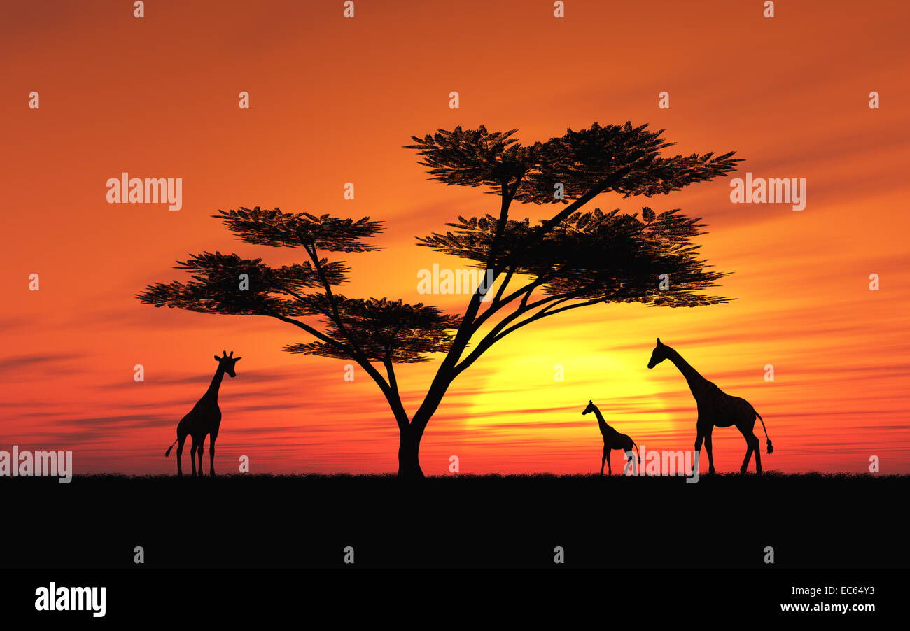 African sunset art hi-res stock photography and images - Alamy