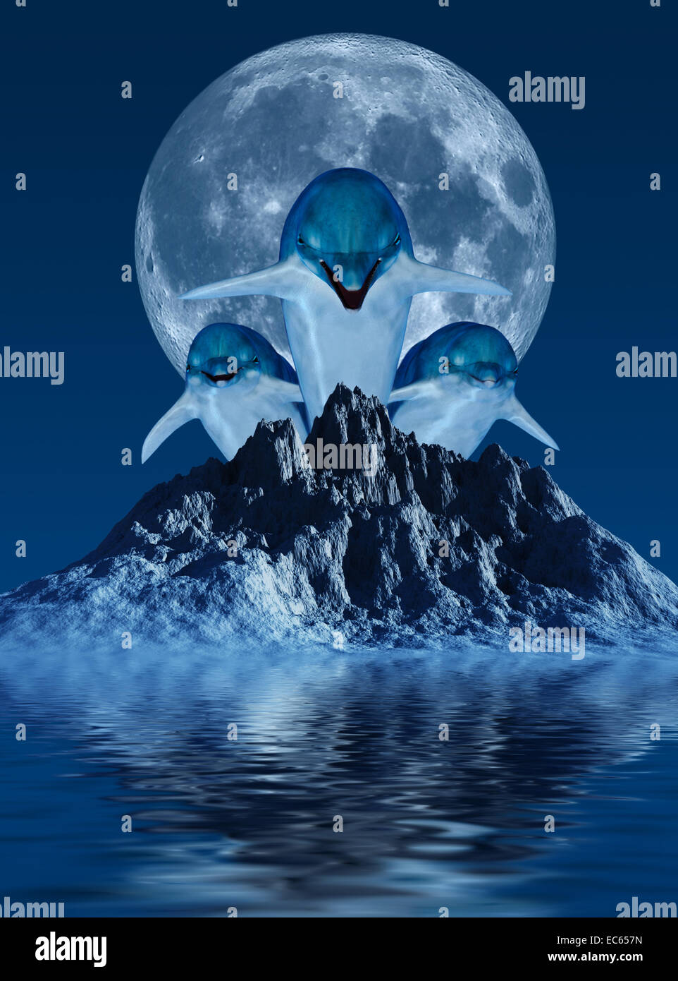 Colorful dolphins hi-res stock photography and images - Alamy