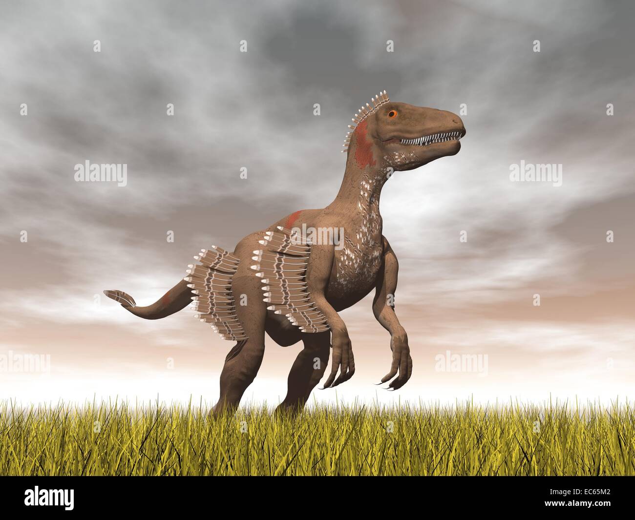 Velociraptor Dinosaur High Resolution Stock Photography and Images - Alamy