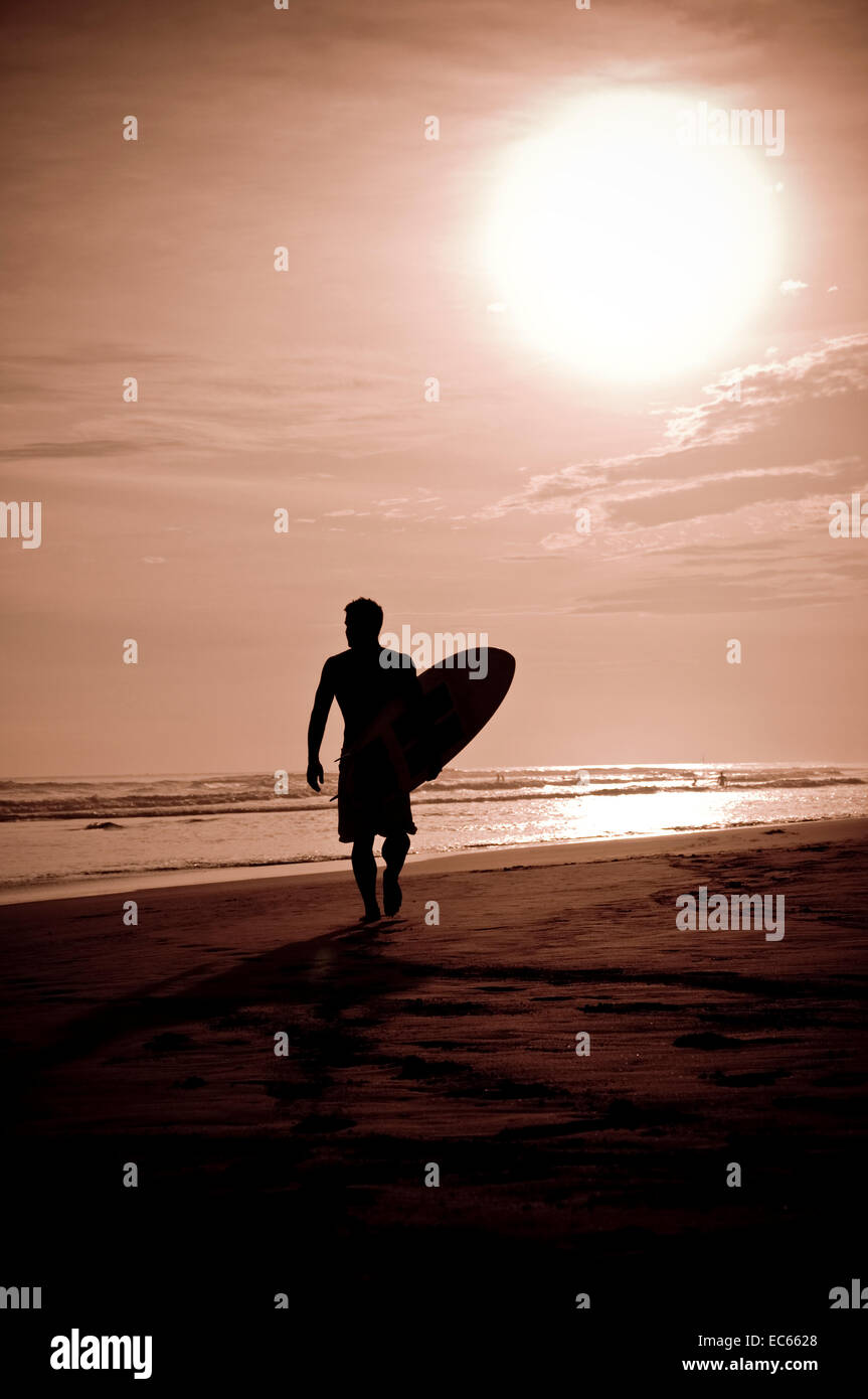 Surfer on beach enter water hi-res stock photography and images - Alamy