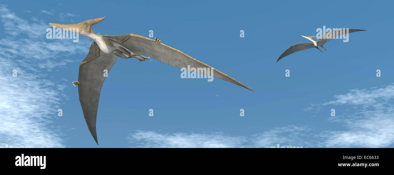 Flying Dino Stock Photos & Flying Dino Stock Images - Alamy