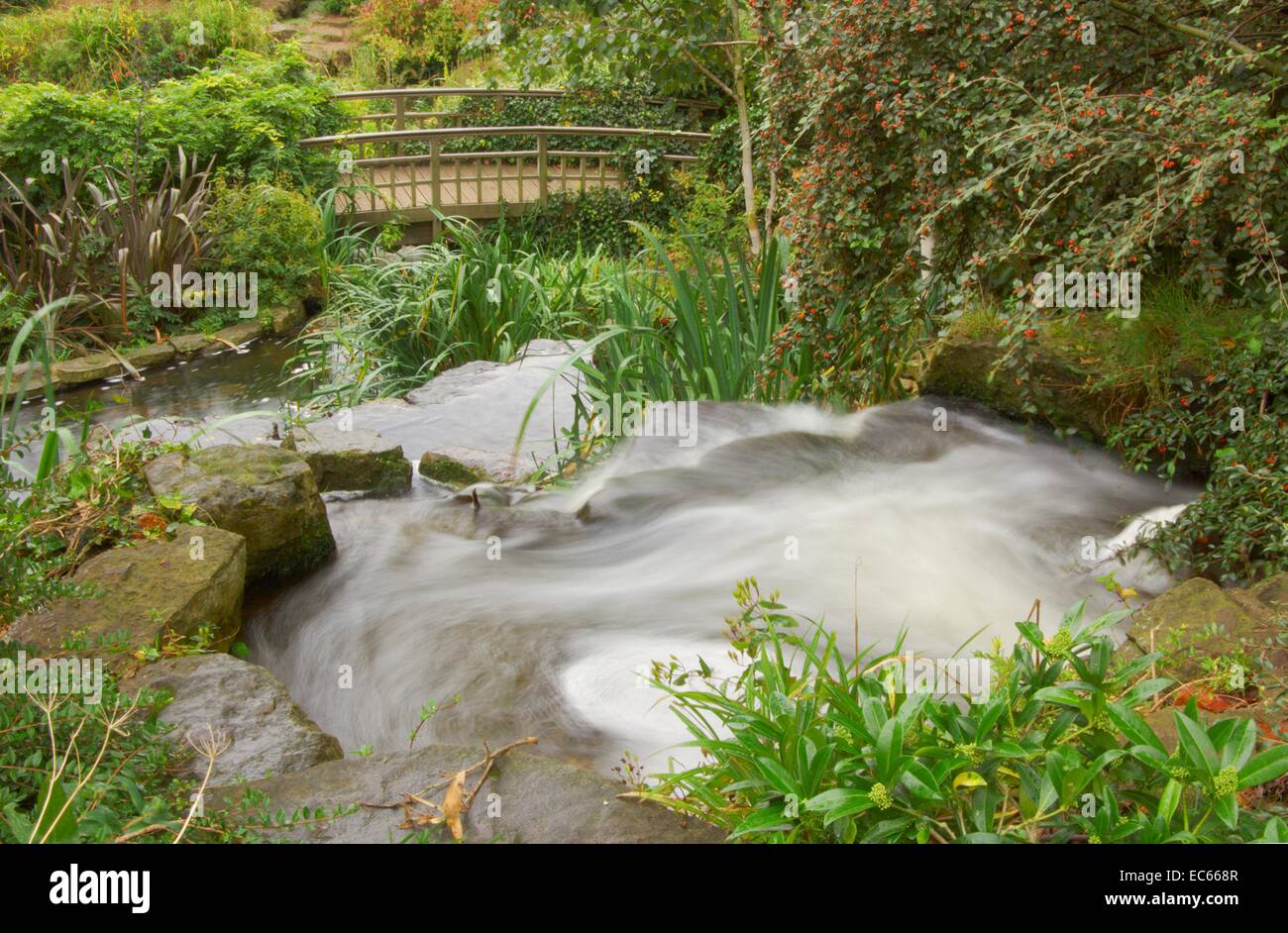 Waterfall in the Inner Circle in Regent's Park in London, England Stock ...