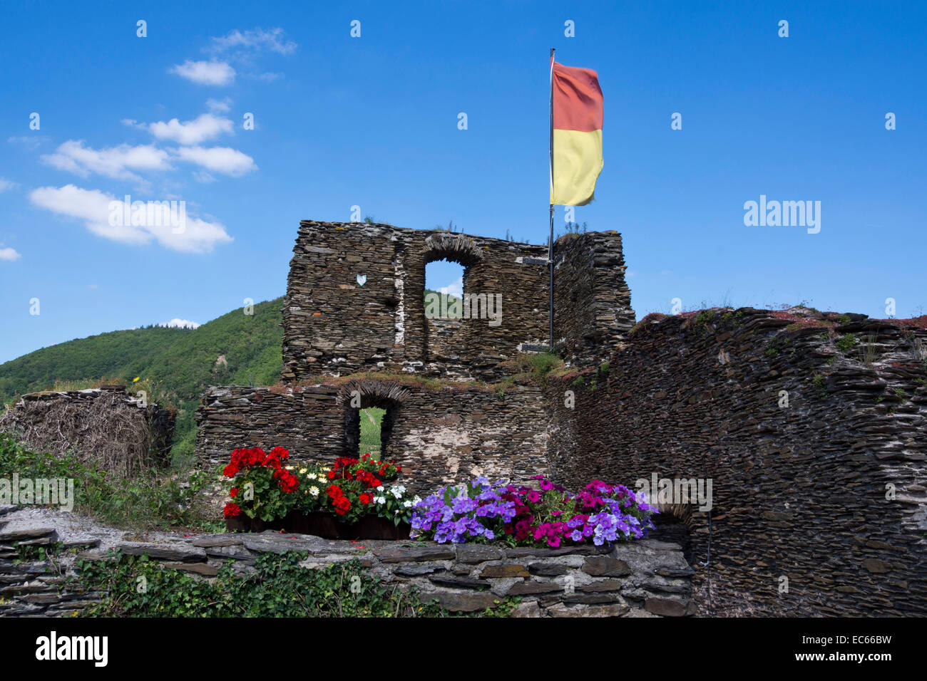 Ruins of the Castle Metternich, Beilstein, Moselle, district Cochem ...