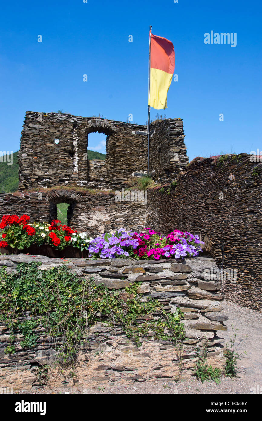 Ruins of the Castle Metternich, Beilstein, Moselle, district Cochem ...