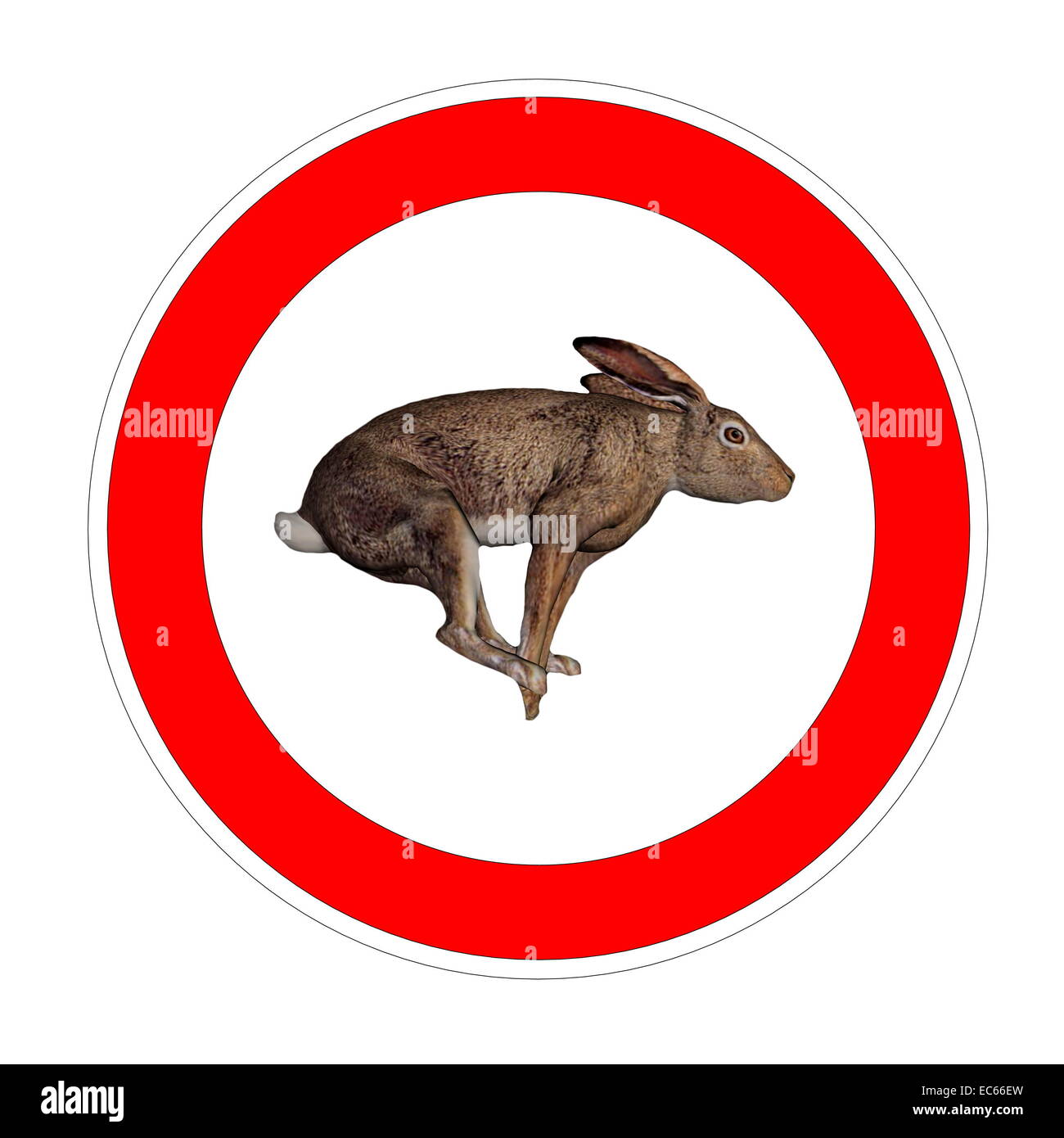 One hare inside speed limit symbol in white background Stock Photo - Alamy