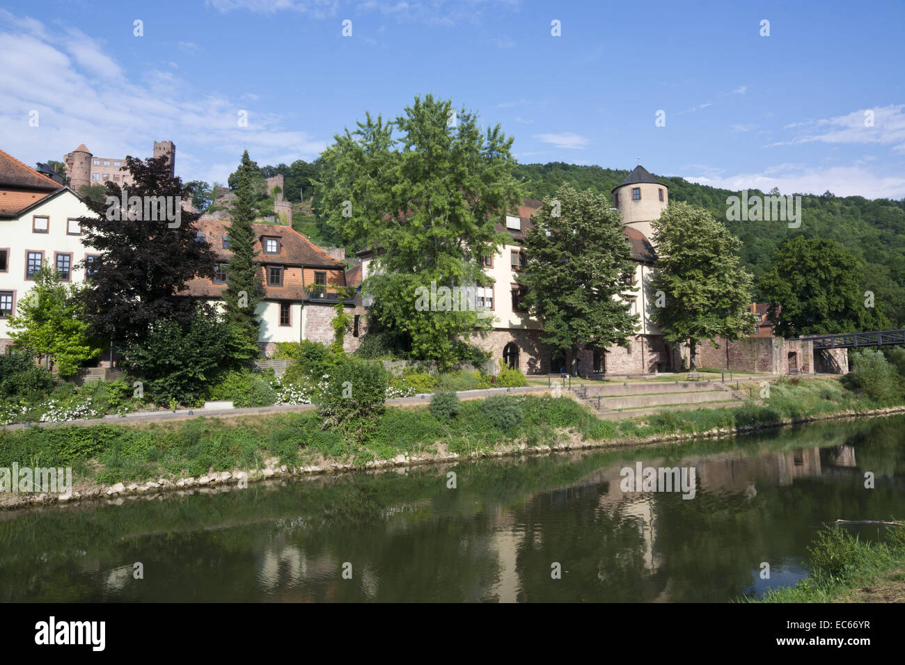 Promenade on the Tauber River in the background Wertheim castle ...