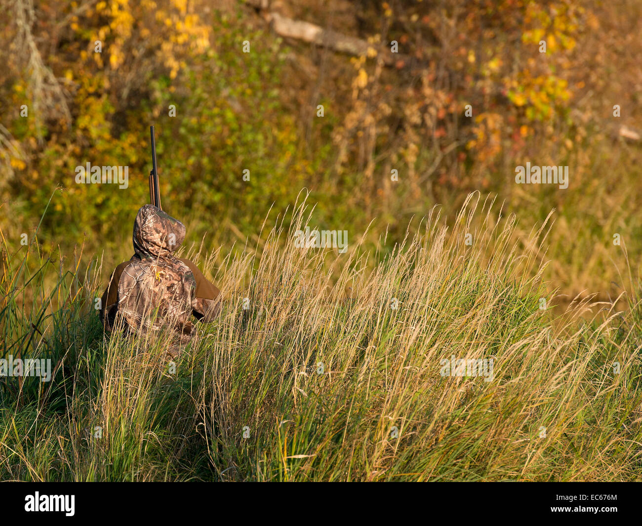 Duck hunter hi-res stock photography and images - Alamy