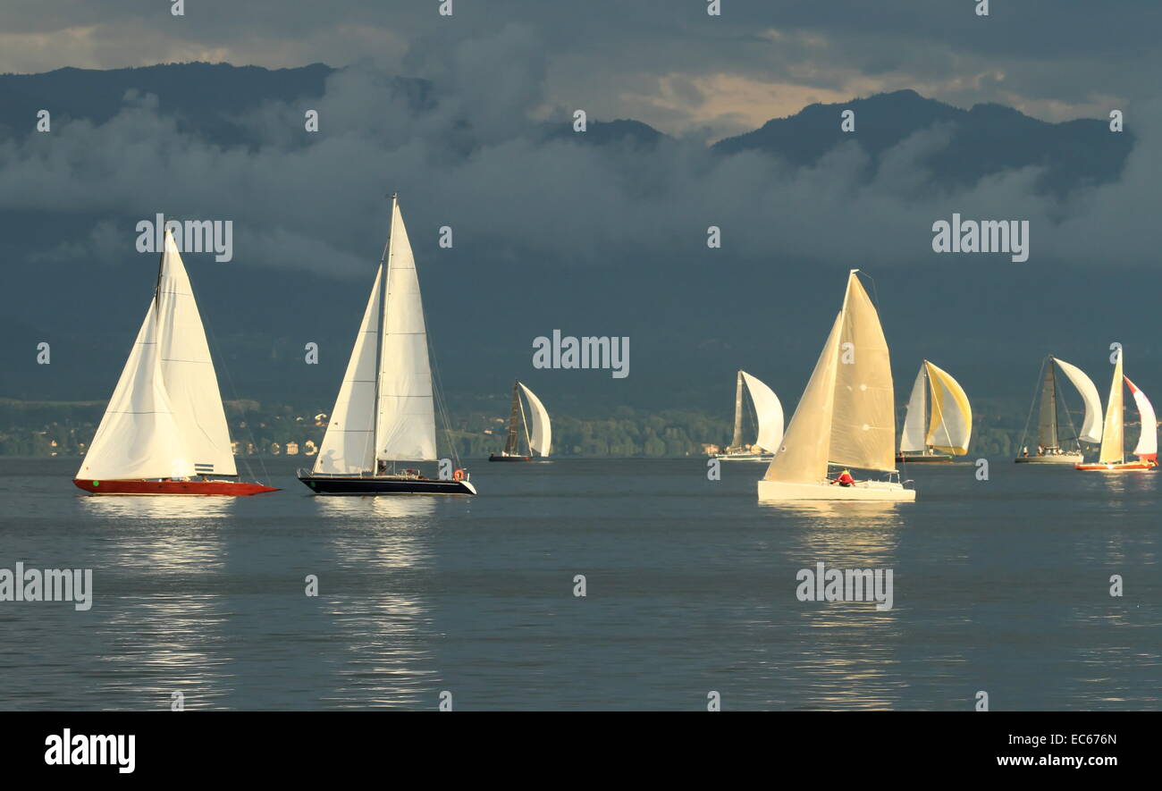 Sailboat race on Geneva lake in front of Alps mountain by wonderful ...