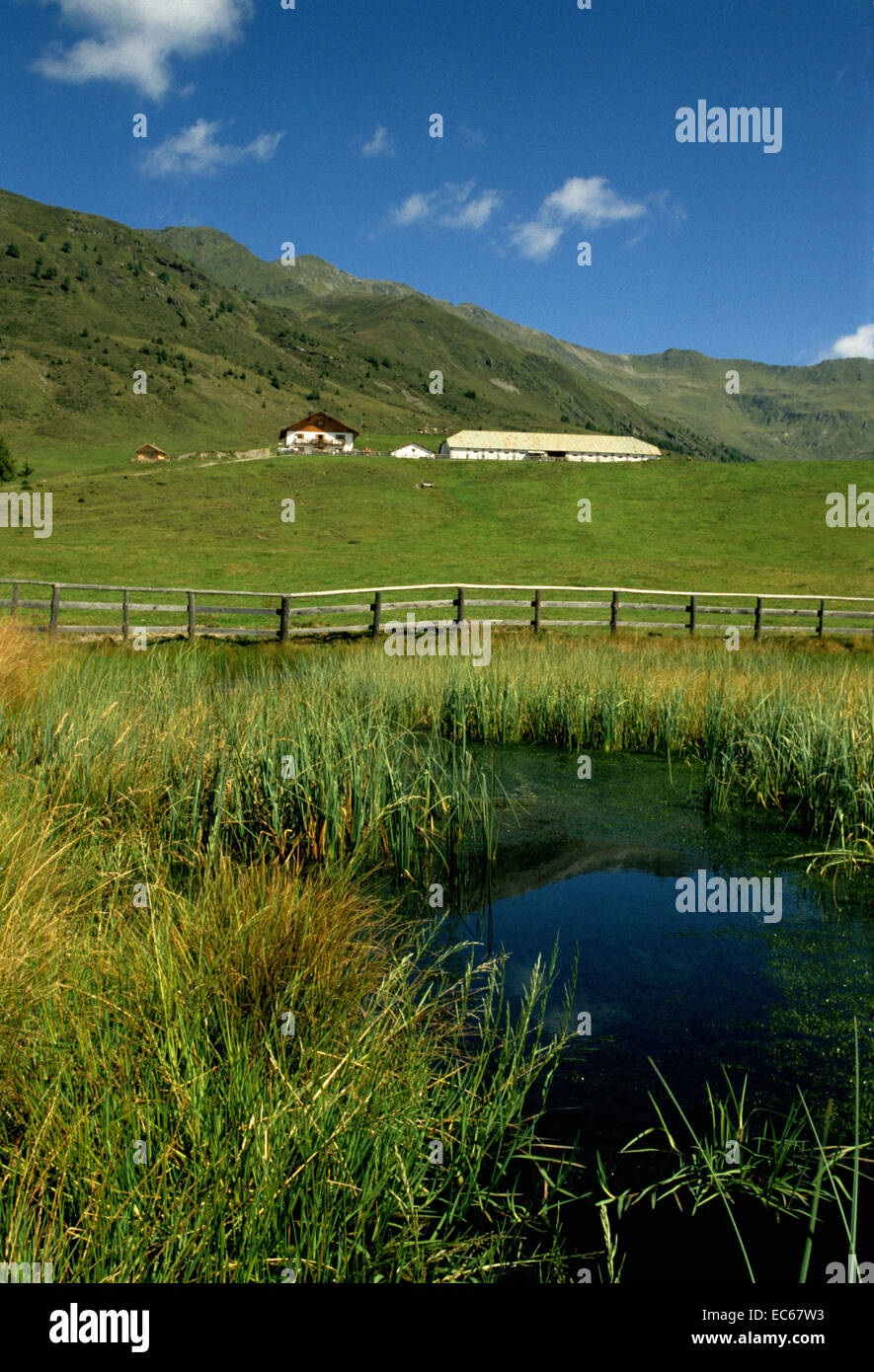 Alpe Nemes, Hochpustertal, South Tyrol, Italy Stock Photo - Alamy