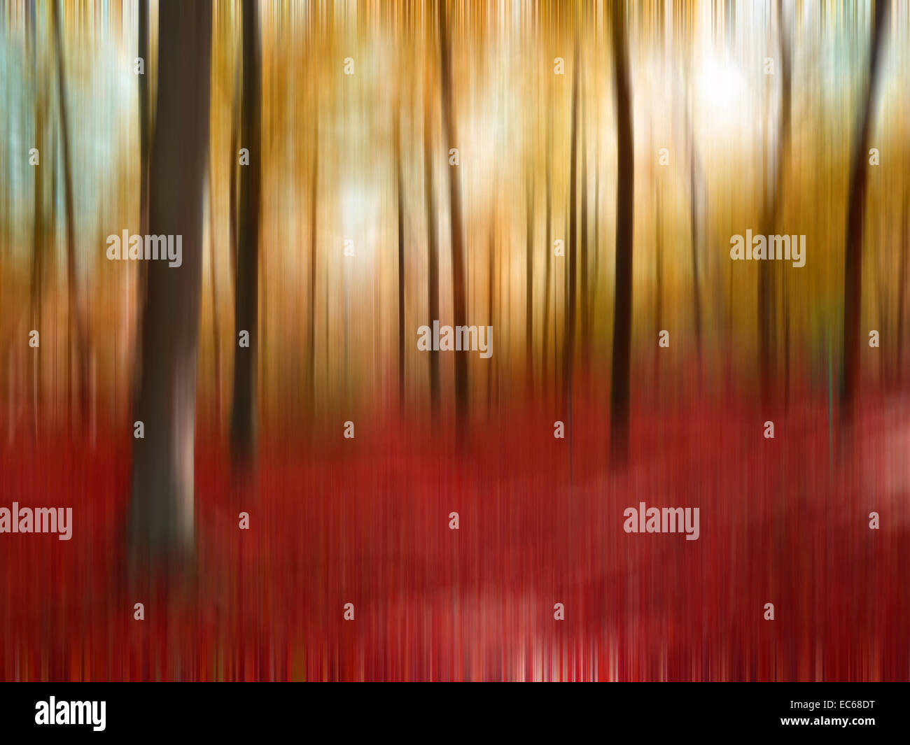 Abstract pattern autumn colours hi-res stock photography and images - Alamy