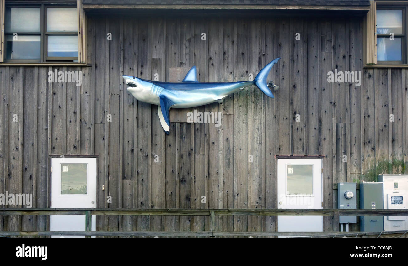 shark mounted on building in Montauk Long Island NY Stock Photo - Alamy