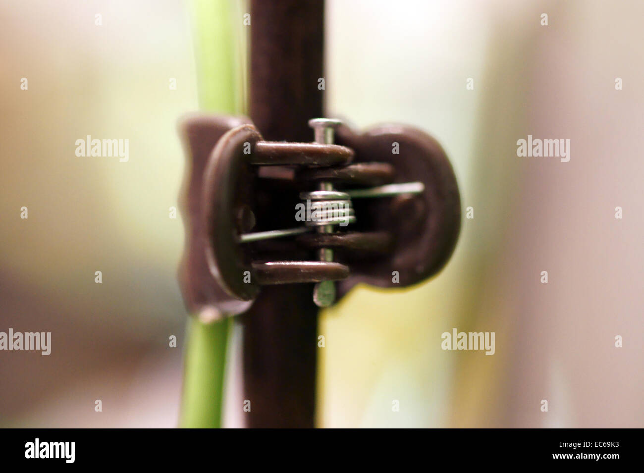 Peg case hi-res stock photography and images - Alamy