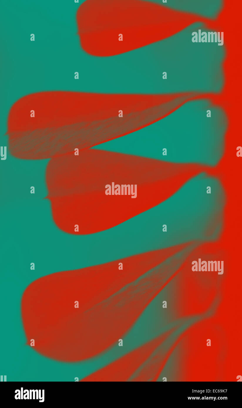 Scion plant hi-res stock photography and images - Alamy